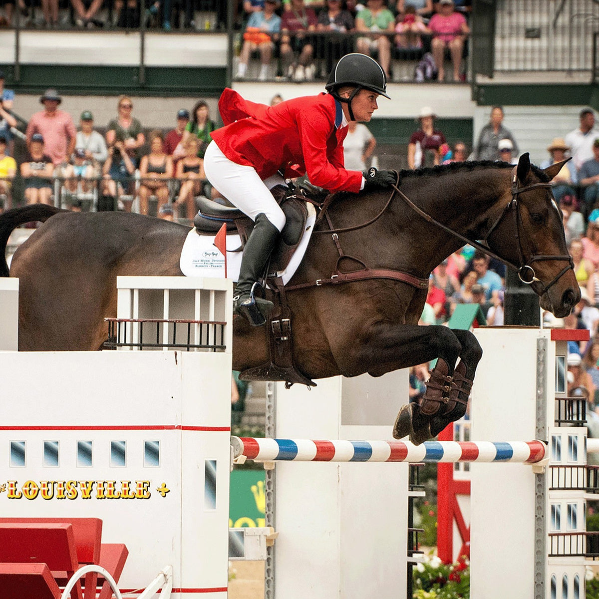 Leather Equitation Tendon Boot with Impact Protective Removable Liners ...